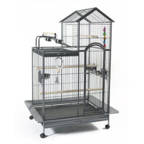 Large parrot cage